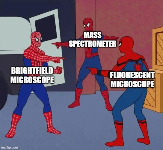 Spatial Omics 4 Antibody Visualization From Microscopy To Mass Spectrometry Aspect